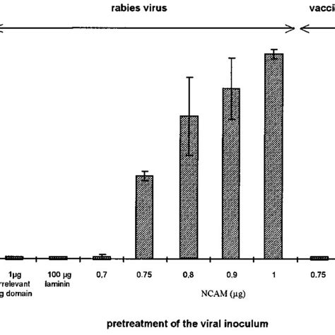 soluble recombinant ncam protein neutralizes rv infection rv and
