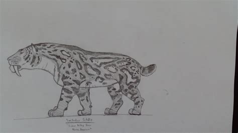 How To Draw A Realistic Dinosaur Easy