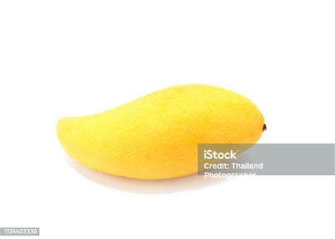 노란 망고 흰색 배경에 고립입니다 망고는 달 콤 하 고 신 맛 있는 과일입니다 열 대 지방에 아주 잘 심어 졌습니다 감귤류 과일에 대한 스톡 사진 및 기타 이미지 Istock