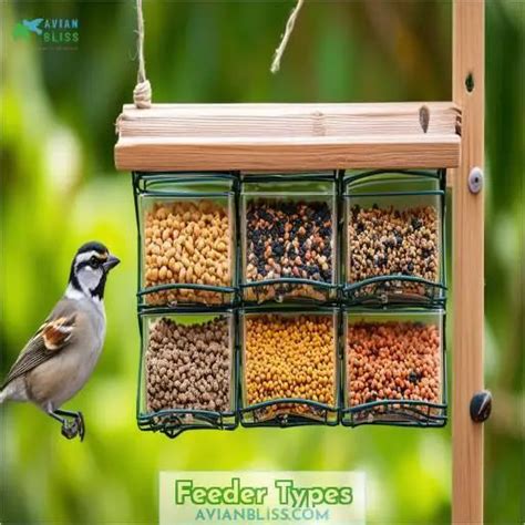 Bird Feeder Setup Create A Welcoming Haven For Feathered Friends