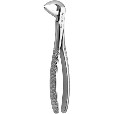 Tooth Forceps Cow Horn N 99 P2 Dental Store