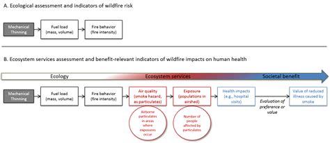 Building And Using Conceptual Diagrams National Ecosystem Services Partnership