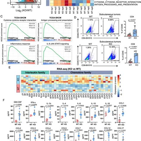 Single Cell RNA Sequencing ScRNA Seq Analysis Revealed A Distinct Download Scientific Diagram