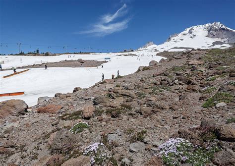 Mt Hood Adventures Timberline Lodge