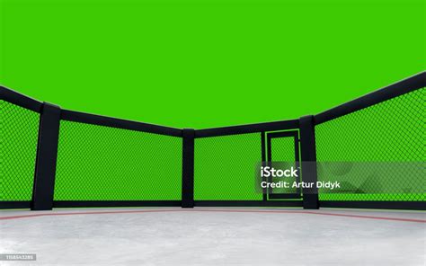3d 렌더링 Mma 경기장 Mma 팔각형 케이지 0명에 대한 스톡 사진 및 기타 이미지 0명 3차원 형태 Championship Istock