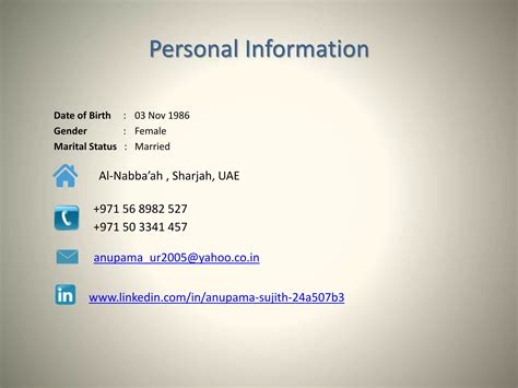 Electronics Engineer Portfolio PPSX