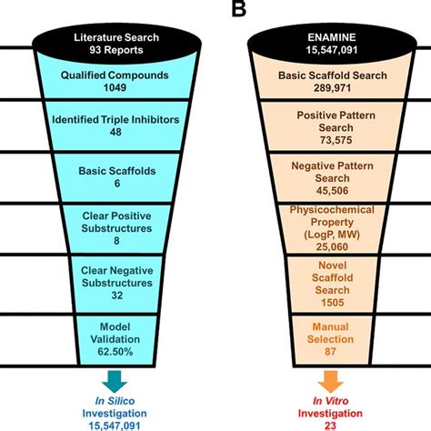 Schematic Overview Of The Process Of Compound Selection A Literature