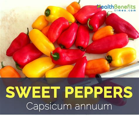 Mini Sweet Peppers Benefits At Clair Azevedo Blog