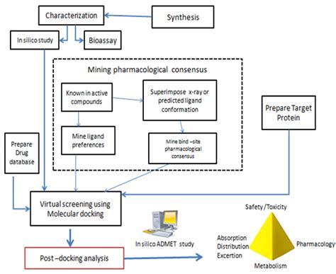 schematic representation of methodology followed download scientific