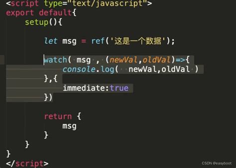 Vue学习十一 Watch的使用方法 Csdn博客