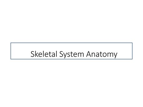 Solution Class Iii Anatomy Of The Skeletal System Bone Lecture 3 Studypool