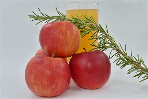 무료 사진 사과 분기 과일 주스 유기 로즈마리 나뭇가지 과일 신선한 맛 있는 건강 한