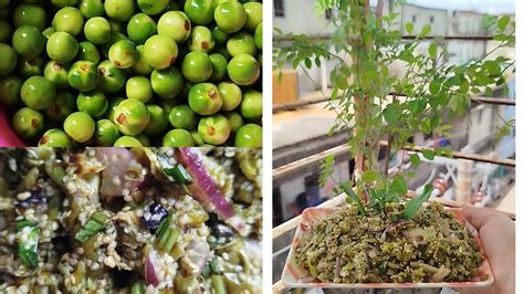 ছোট বেগুন পুট্রি বেগুনের মজাদার ভর্তা রেসিপি। Youtube