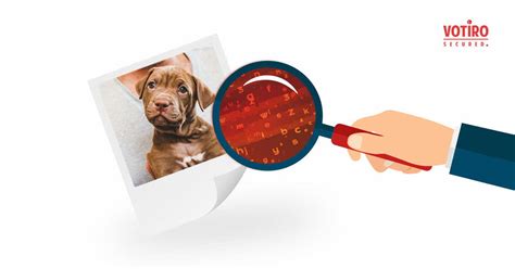 How Hackers Hide Malware With Image Steganography Votiro