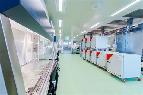 Technology Transfers For Cgt Products Understanding What Is Needed For Success Cell Therapies