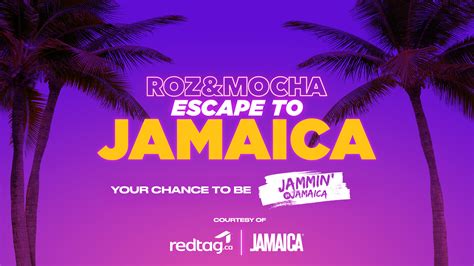 Roz And Mochas Escape To Jamaica Seekr
