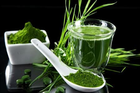 Спирулина - 11 полезных свойств, состав, противопоказания