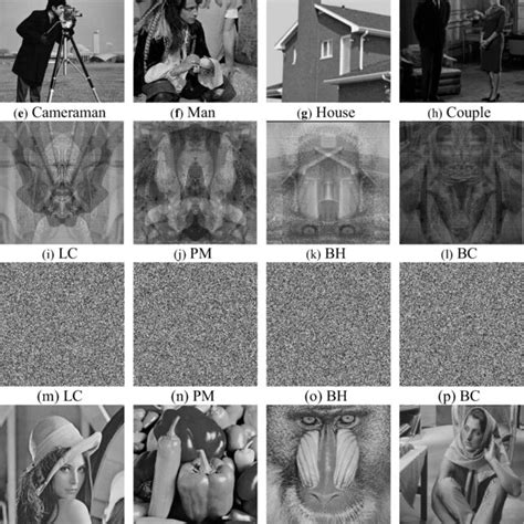 original images a h scrambled images i l encrypted images m p and download scientific diagram