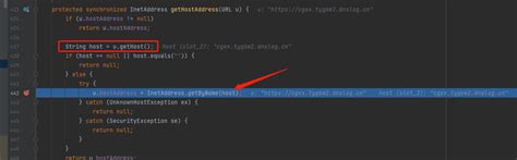 JAVA Deserialization Beginner DNSLOG Deserialization Chain Analysis