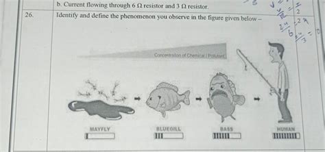 b Current flowing through 6Ω resistor and 3Ω resistor 26 Identify and