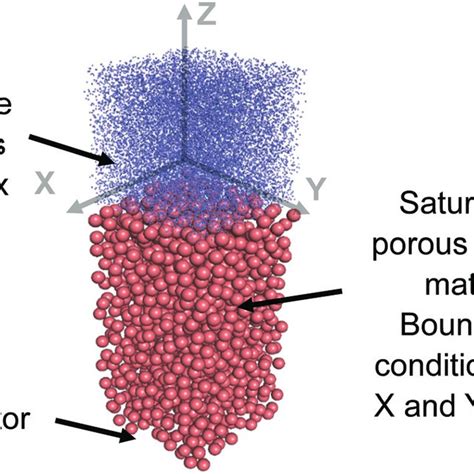 Simulation Model Composed Of Mobile Enps A Saturated Porous Media Download Scientific Diagram