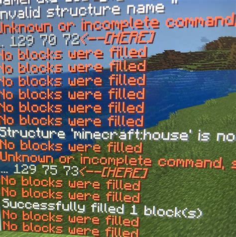 replace command isnt working r minecraft