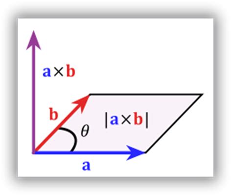 Vector Matriz Determinantes Mind Map The Best Porn Website
