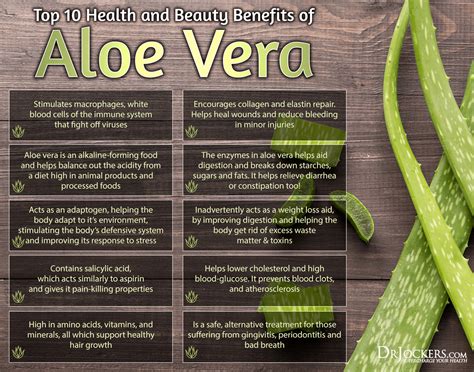6 Benefits Of Aloe 5 Uses For The Skin