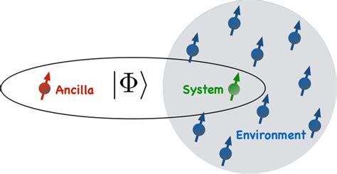 Schematic Diagram Of System Qubit And Ancilla Qubit Sharing A Maximally