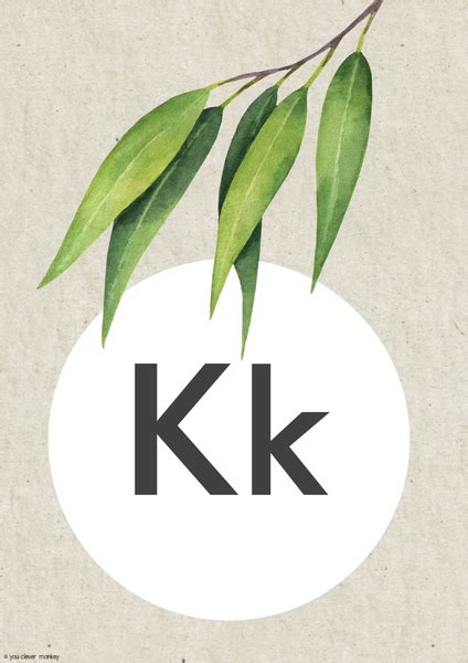 Gum Leaf Alphabet Posters Classroom Hq