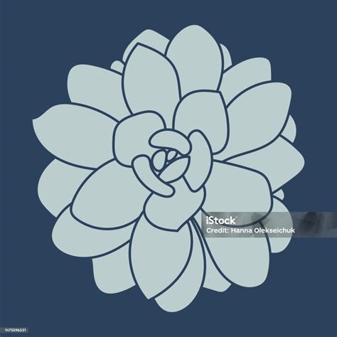 즙이 많은 실루엣 사막 꽃 스케치입니다 윤곽선 그리기 공장 즙이 많은 낙서 스타일 무늬 공장 산업 건물에 대한 스톡 벡터 아트 및 기타 이미지 Istock