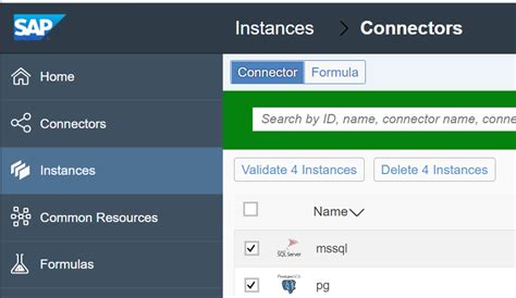 Validate Connector Instances Sap Open Connectors