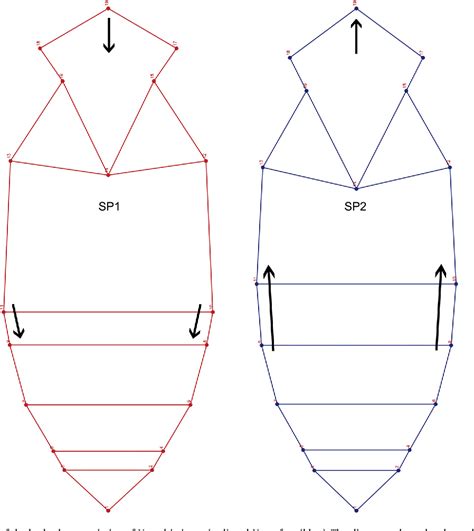 Figure 4 From The Overrated Use Of The Morphological Cryptic Species
