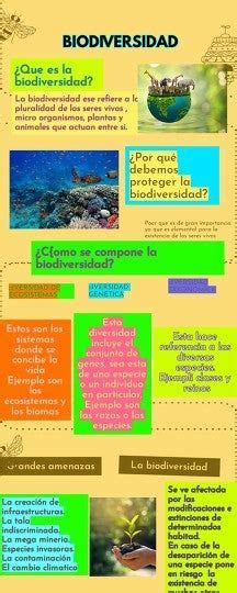 Ttps Imagenes De Pexels Y Pixabay By Danniamaria Befunky En 2025