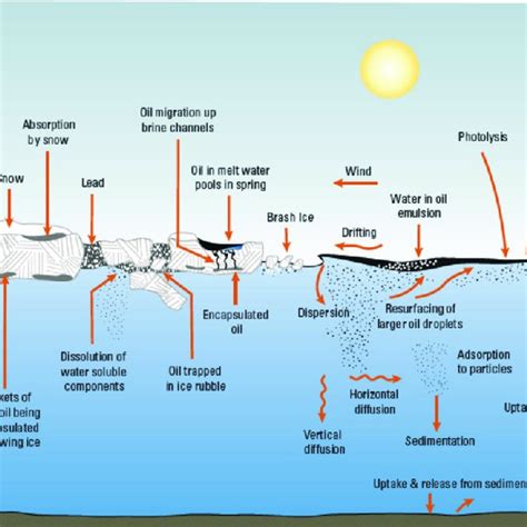 Weathering Of Oil On Open Water As Well As In Ice Infested Waters Download Scientific Diagram
