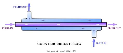Counter Current Flow Countercurrent Flow Heat Stock Illustration