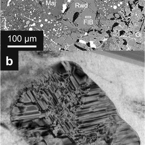 Ringwoodite In A Shock Induced Melt Vein In The Tenham Chondrite A