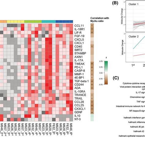 clustered expression patterns of differentially expressed genes degs