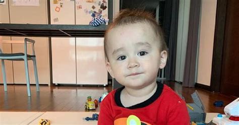 샘해밍턴 아들 벤틀리 따분한 표정도 그저 러블리[sns★컷]