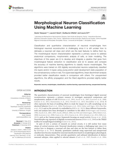 Pdf Morphological Neuron Classification Using Machine Learning