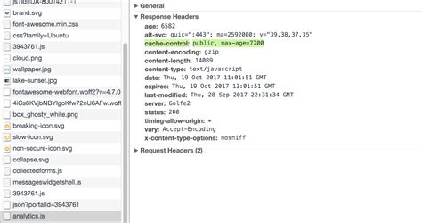 Why Is Browser Caching So Hard