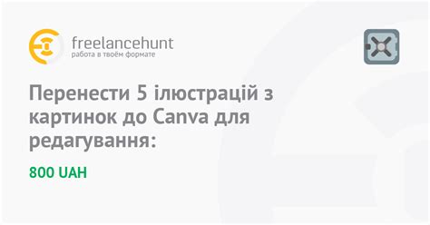 Перенести 5 иллюстраций с картинок в Canva для редактирования • фриланс работа для специалиста