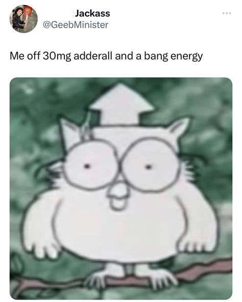 Owl Meme Tootsie Pops