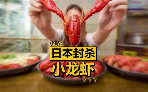 日本封杀小龙虾食材咋就变成了外来物种 文小略 文小略 哔哩哔哩视频