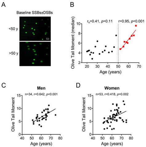 Ijms Special Issue Recent Advances On Dna Damage Response From