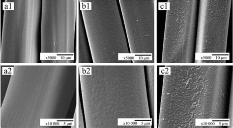 Figure 1 From Influence Of Layer By Layer Polyelectrolyte Deposition And EDC NHS Activated