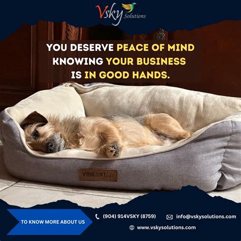 Vsky Solutions On Linkedin Smallbizgrowth Floridabusiness Localmarketing Customeracquisition…