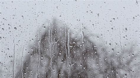 1000 무료 비 And 자연 동영상 Hd And 4k 영상 Pixabay