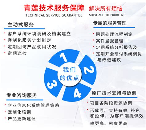 App应用漏洞扫描【最新版】漏洞修复在线支持技术指导 云市场 阿里云