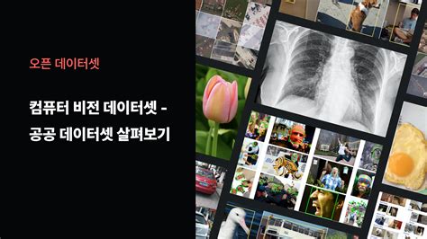 컴퓨터 비전 데이터셋 공공 데이터셋 살펴보기